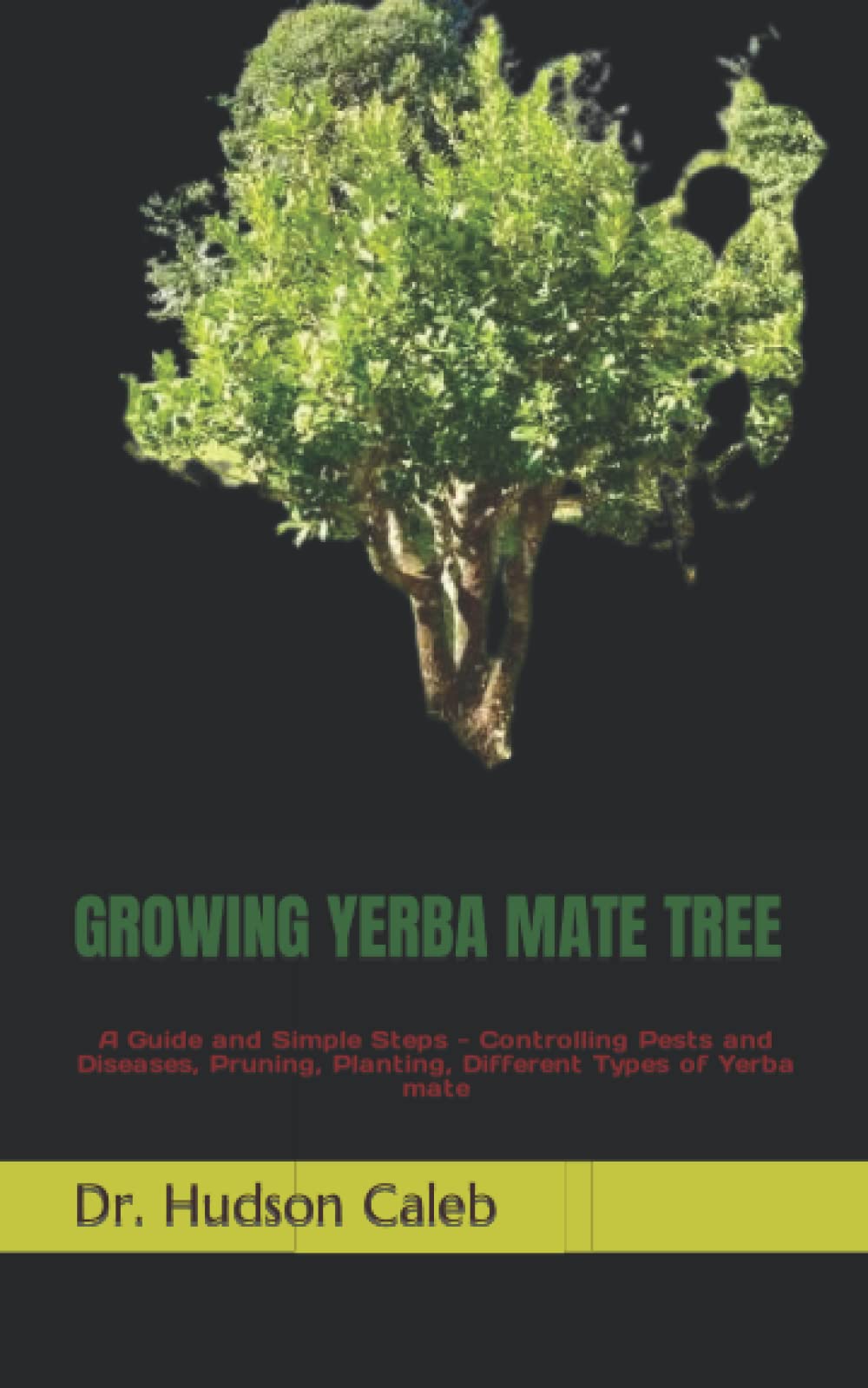 Buy GROWING YERBA MATE TREE: A Guide and Simple Steps - Controlling ...