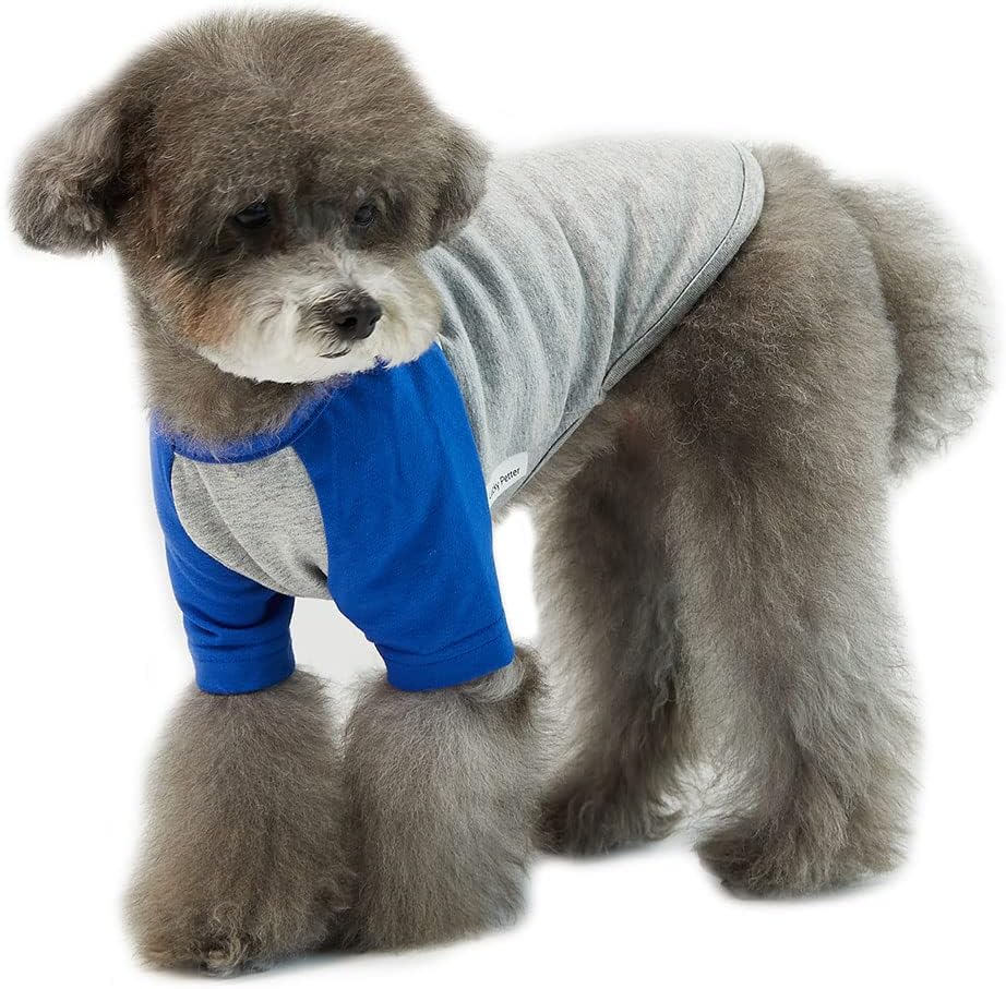 Amazon.com : Lucky Petter Dog Shirt for Small and Large Dogs Raglan ...