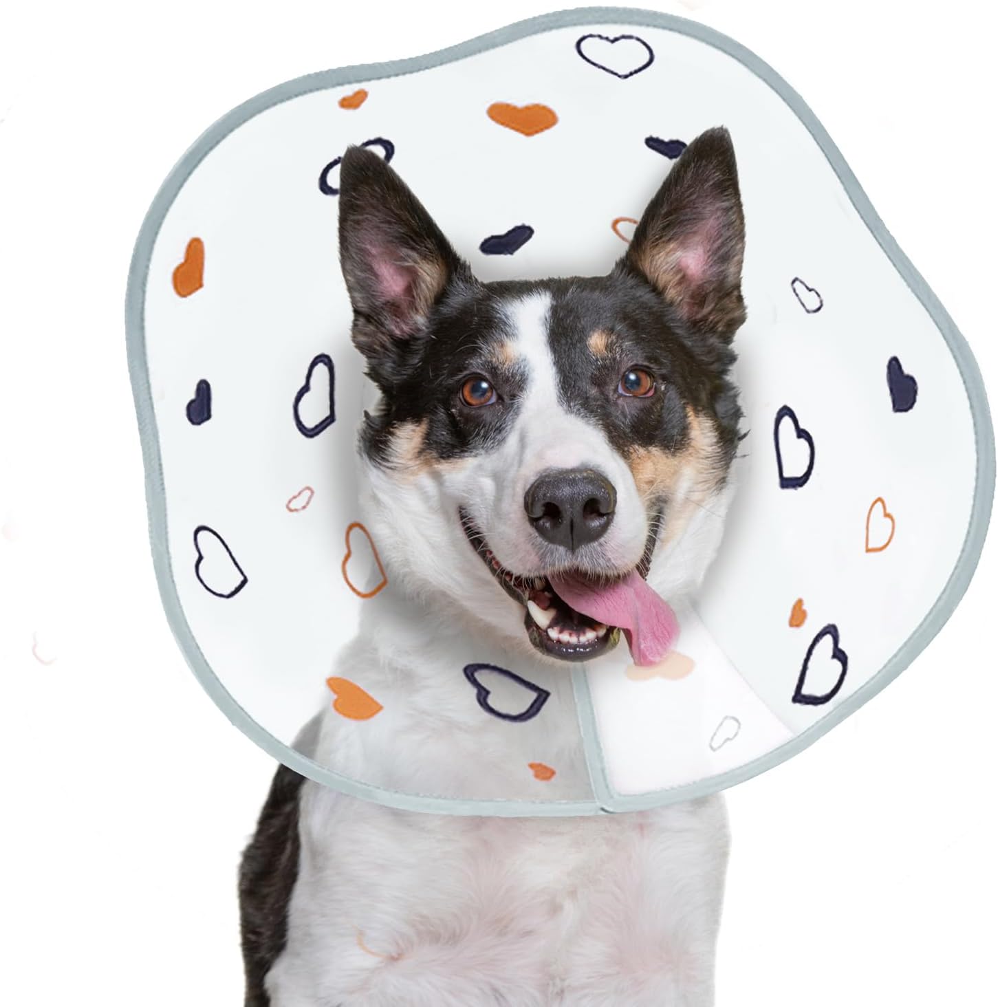 Amazon.com : Supet Dog Cone for Dogs After Surgery, Comfortable Dog ...