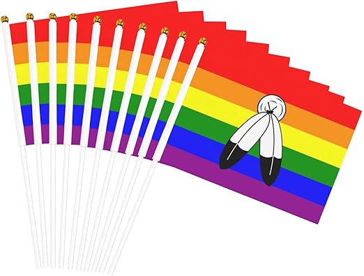Amazon.com : Two-Spirit Pride Flag Small Mini Flags Hand Held Flag ...