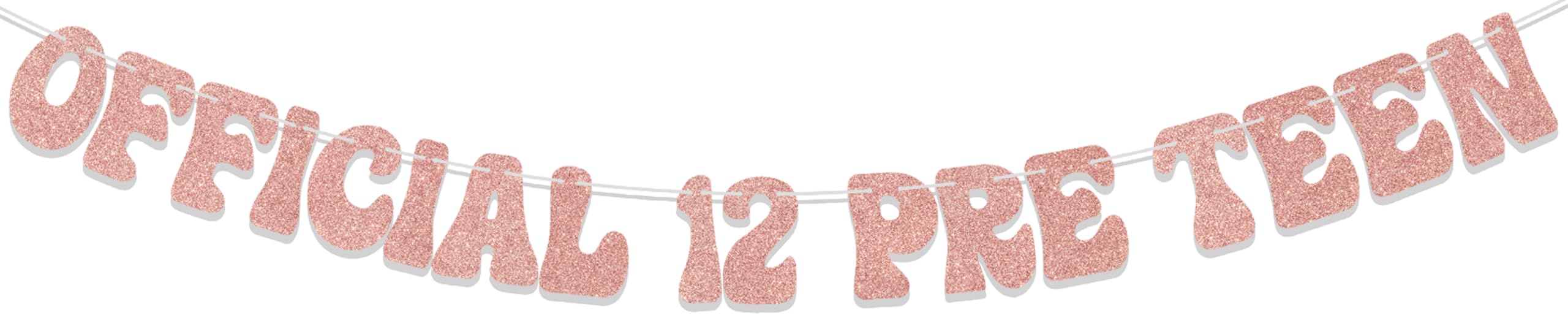 Snapklik.com : Official 12 Pre Teen Banner Teen 12th Birthday Party ...