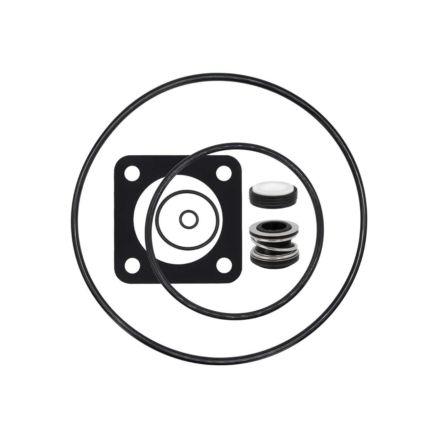 Shaft Seal & O-Ring Rebuild Kit Replacement for Sta-Rite P2R P2RA ...