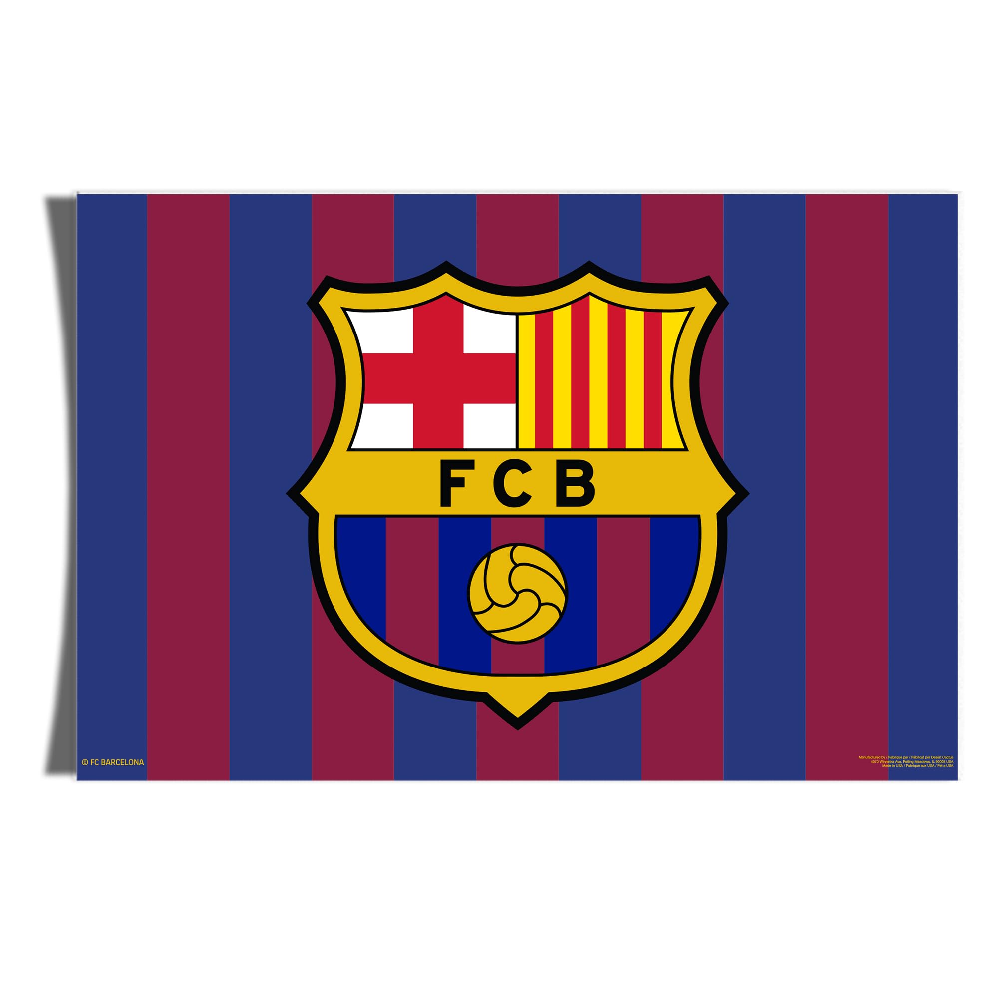 Amazon.com: Desert Cactus FC Barcelona Poster Barça Football Club ...