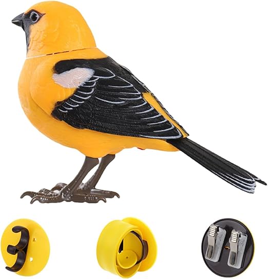 Amazon.com: Doefo Electric Singing and Chirping Bird Toy, Interactive ...
