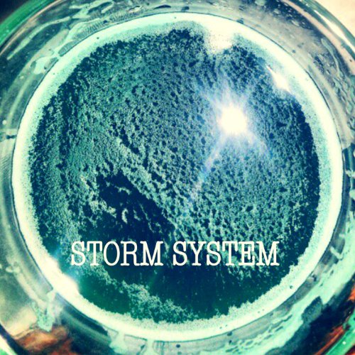 Amazon.com: Storm System : STORM SYSTEM: Digital Music