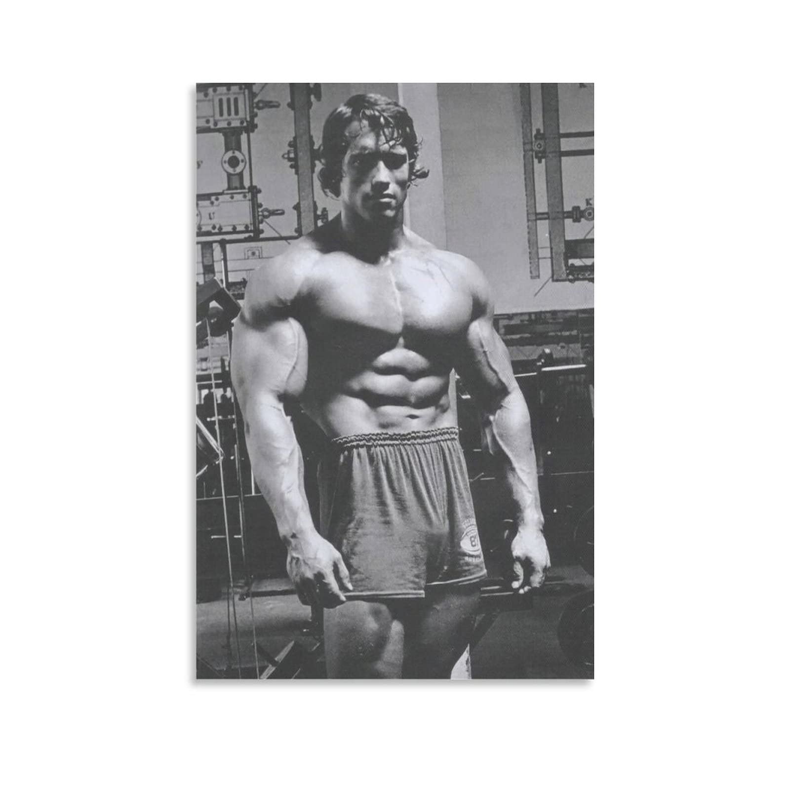 Arnold Schwarzenegger Motivational Poster