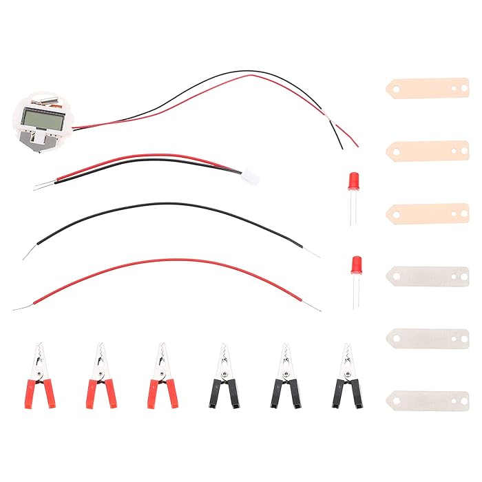 Buy Hemobllo Fruit Battery Science Experiment Kit with Electronic Clock ...
