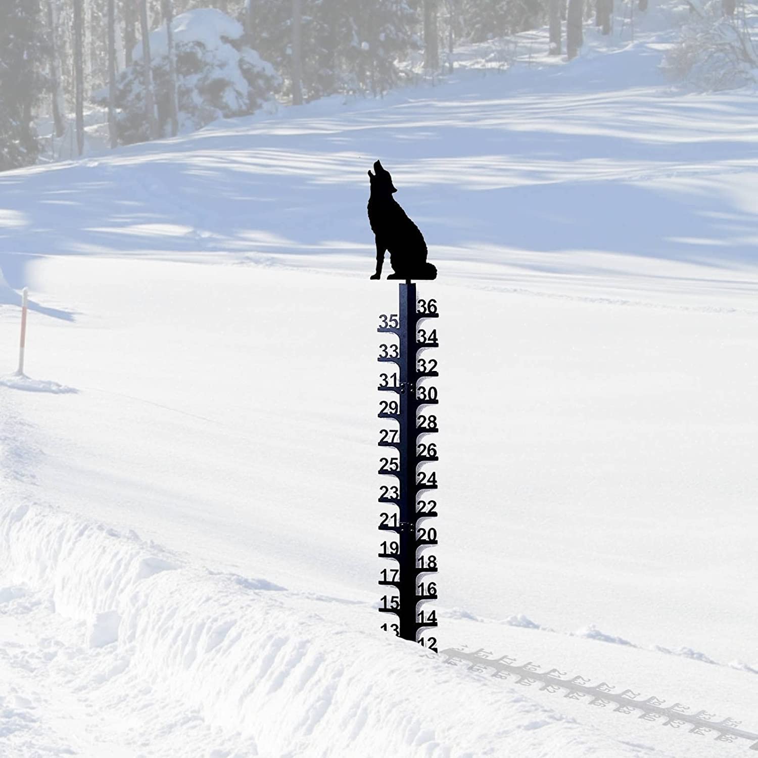 Amazon.com : AOOLVY 36 Inch Iron Art Snow Gauge, Snow Gauge Outdoor ...