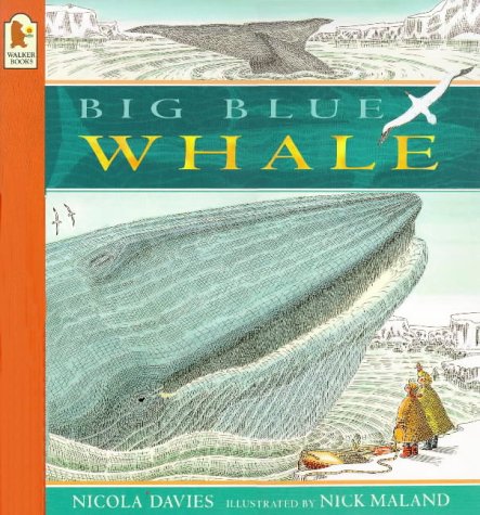 Amazon | Big Blue Whale Big Book | Davies Nicola, Maland Nick | Ecology