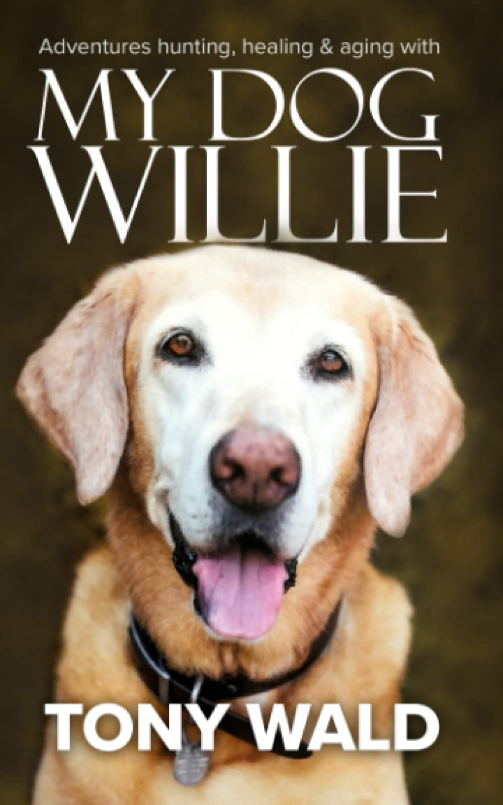 My Dog Willie: Adventures hunting, healing and aging: Wald, Tony ...