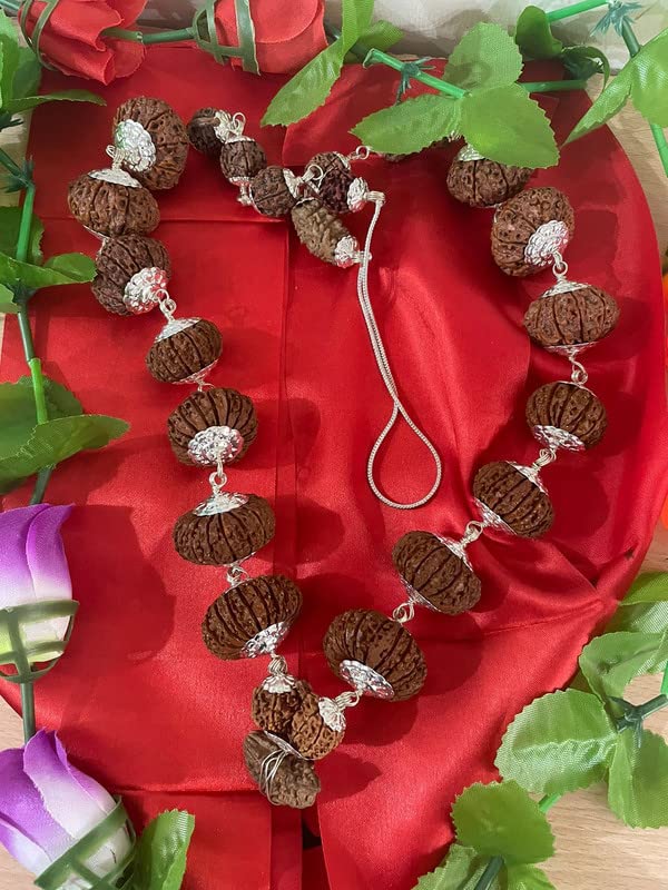 All Stone Indrani Mala Rudraksha 1 to 21 Mukhi Indrakshi Mala Original ...