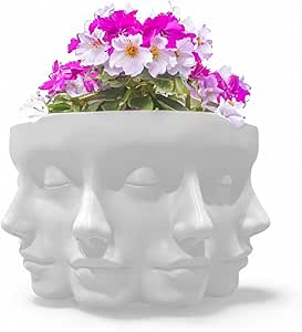 Amazon.com : Multi-Faced Flower Pot, PolyFace Planters for Indoor ...