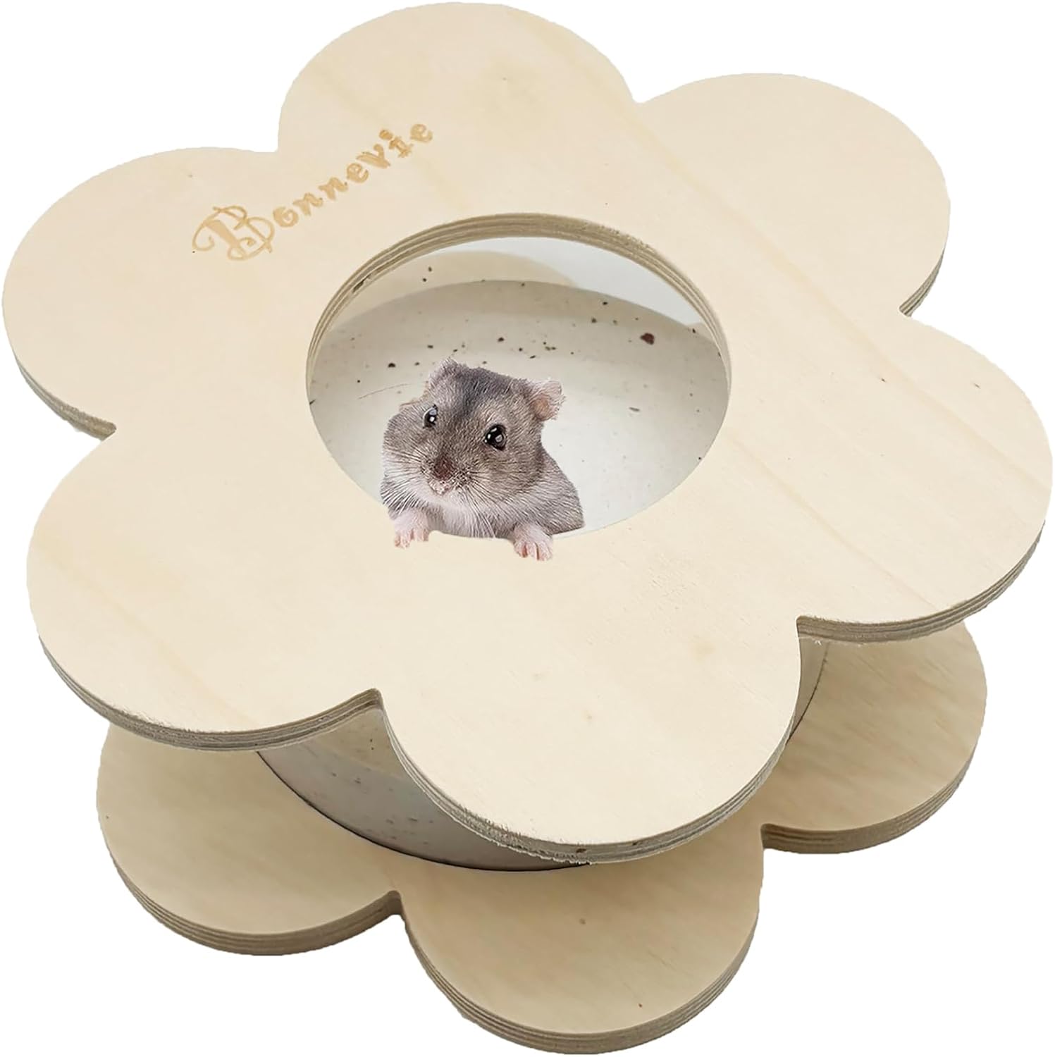 Amazon.com : Bonnevie Hamster Wooden Sand Bath Container Acrylic Large ...