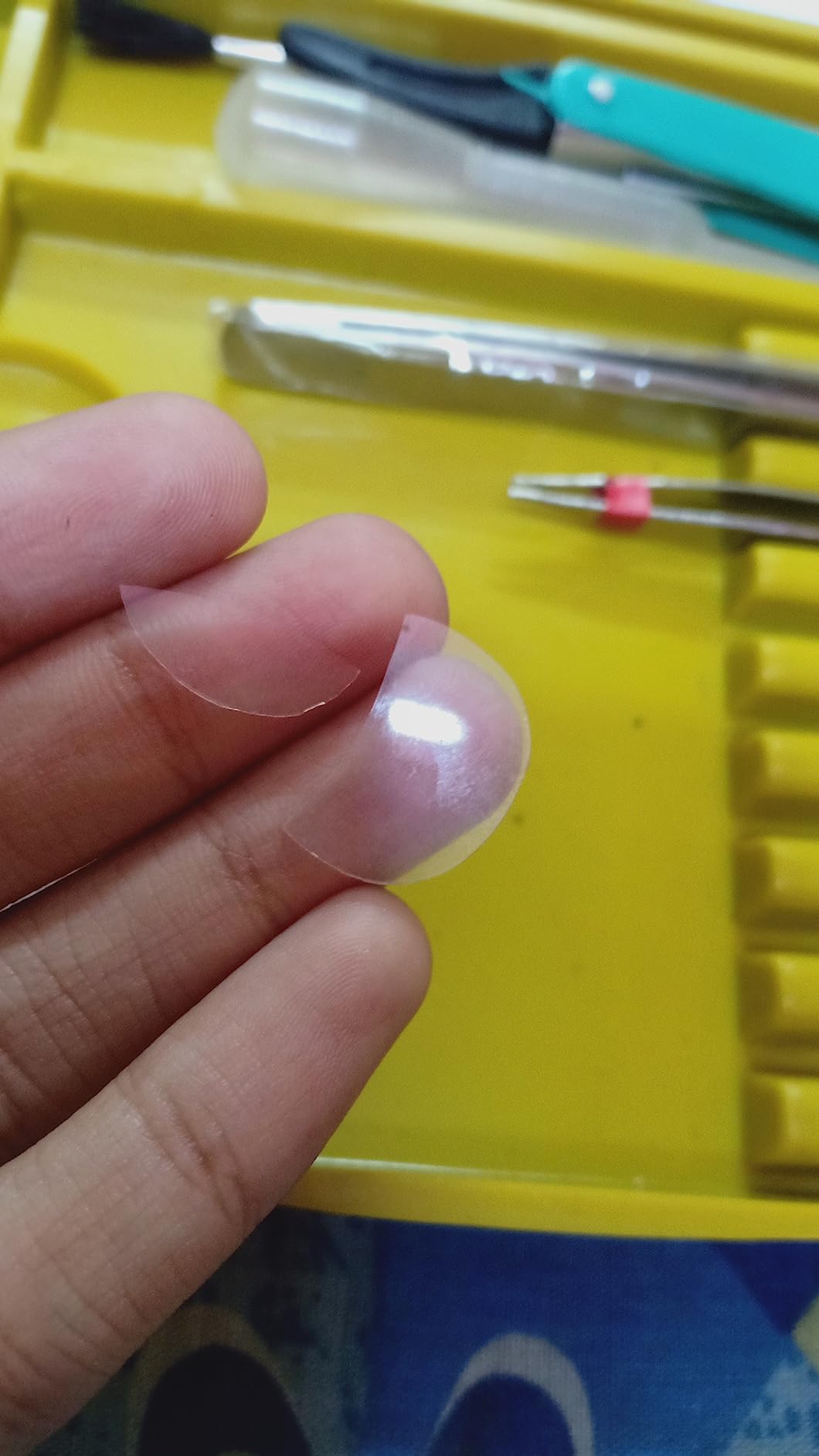 CRAFTWAFT ACADEMY CROWN BIOLOGY BOX DISSECTION BOX SET WITH ALL ...