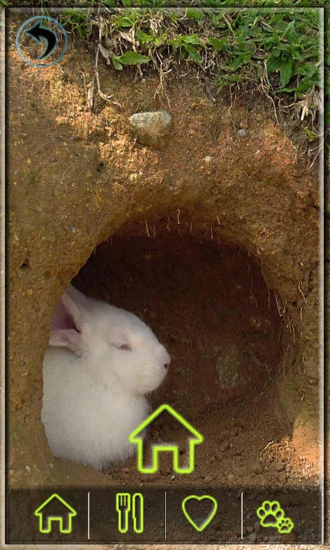 Aniworld Lite cool fun animal game for kids - App on Amazon Appstore