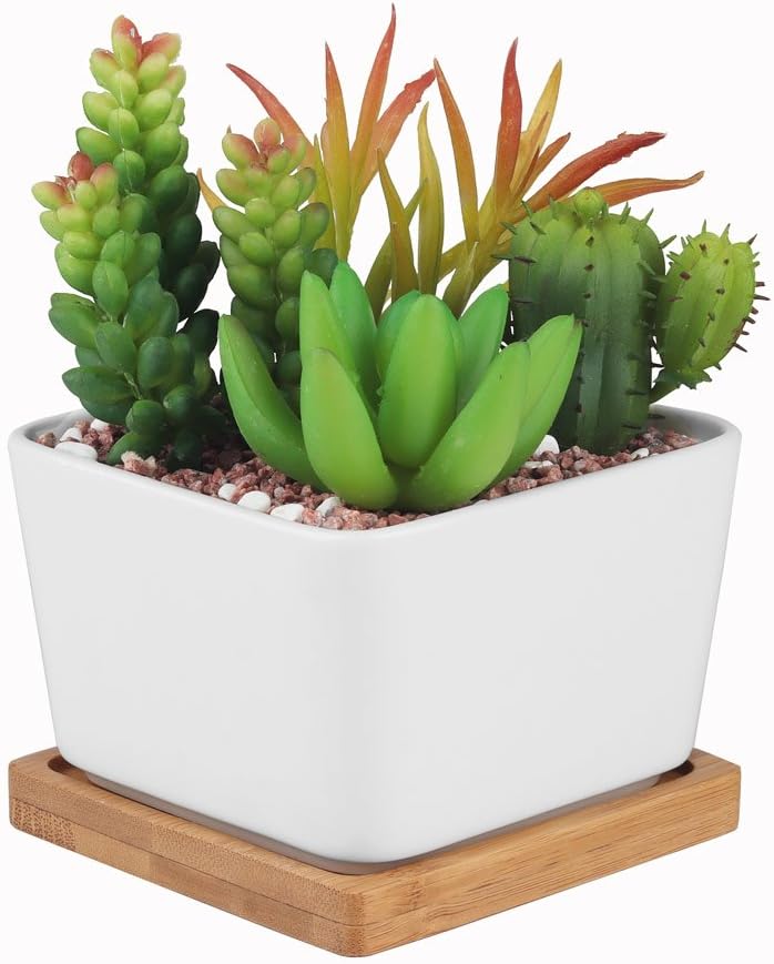 Amazon.com: Digsky Small Square Modern White Ceramic Succulent Plant ...