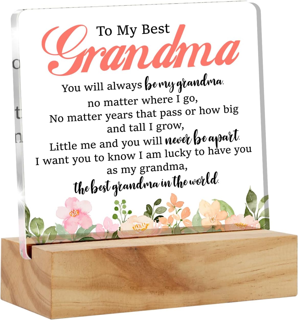 Amazon.com: Best Grandma Gift Nana Gifts, the Best Grandma in the World ...