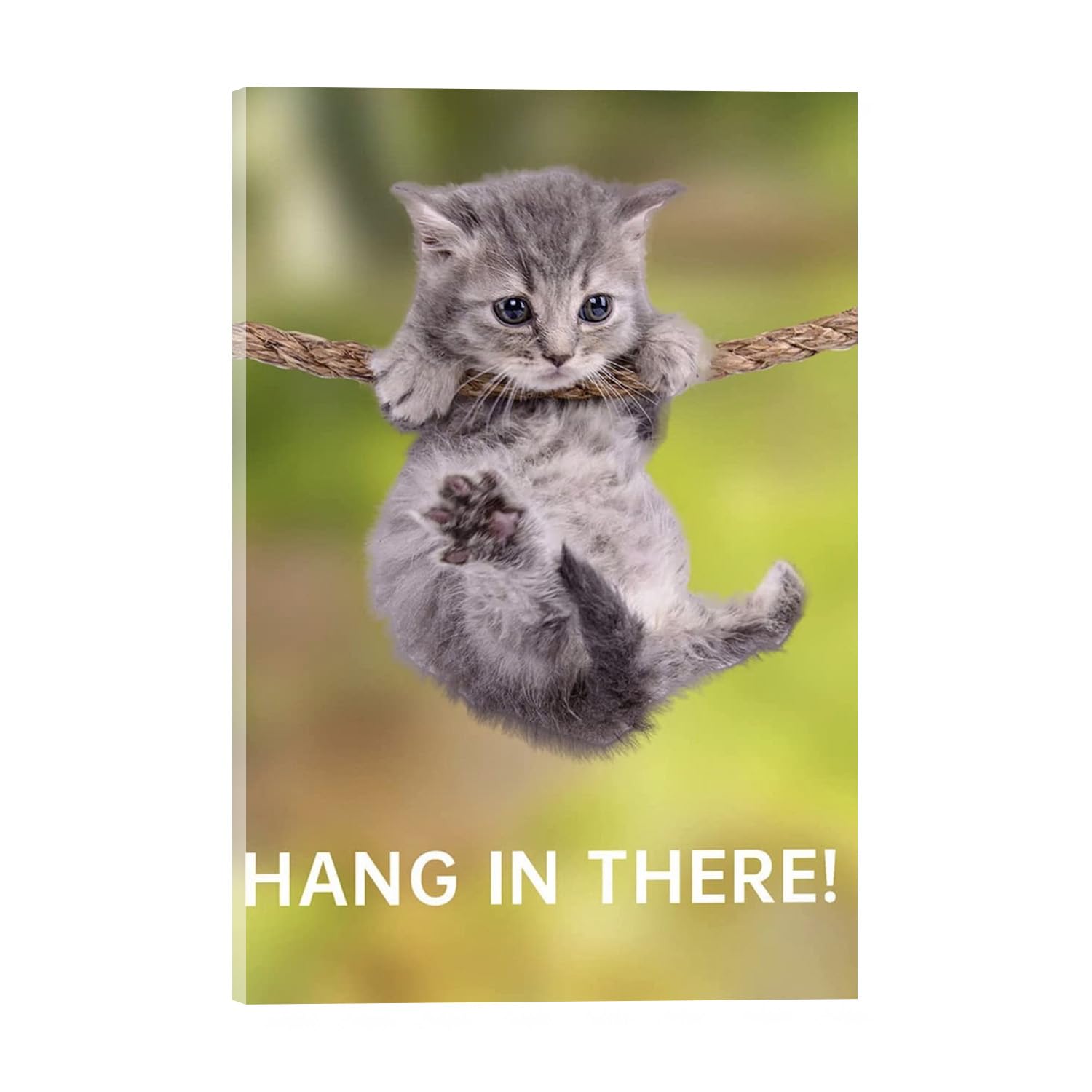 Amazon.com: Hang In There Cat Poster - Funny Cat Office Canvas Wall Art ...