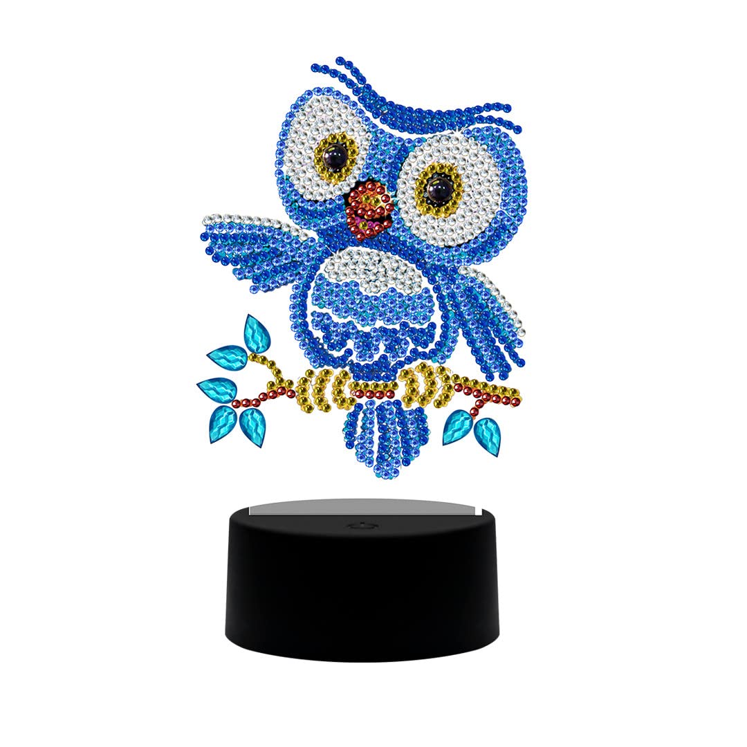 Amazon.com: pigpigboss Owl Diamond Painting Night Light, 5D LED Light ...
