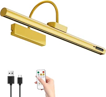 Bridika Picture Light Battery Operated, 19.7in Picture Lights for Wall ...