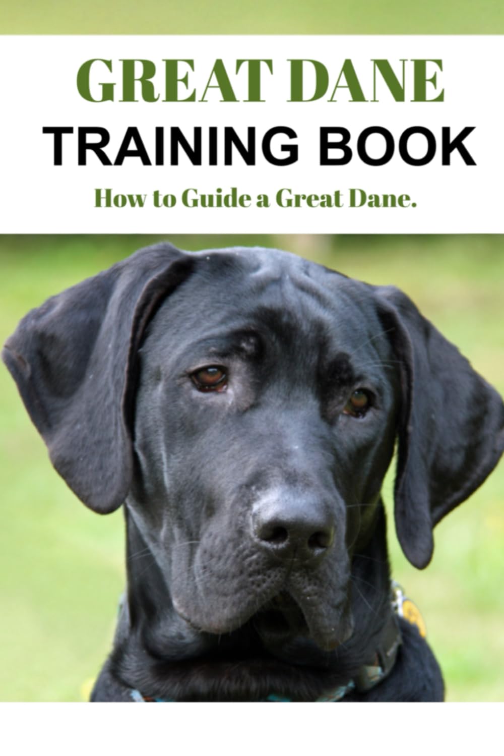 Great Dane Training Book: How to Guide a Great Dane: Blue, Milan ...