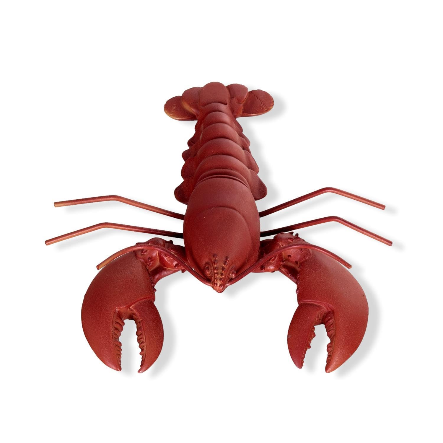 Amazon.com: The Bridge Collection 5" Red Lobster Figurine-Nautical ...
