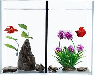 Amazon.com : 3 Gallon Betta Fish Tank with Divider, Small Aquarium ...