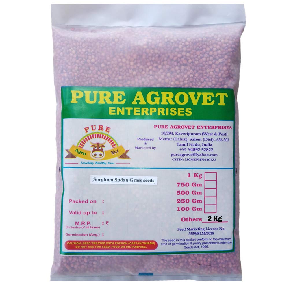 Sorghum Sudan Grass seeds for 2 Kg : Amazon.in: Garden & Outdoors