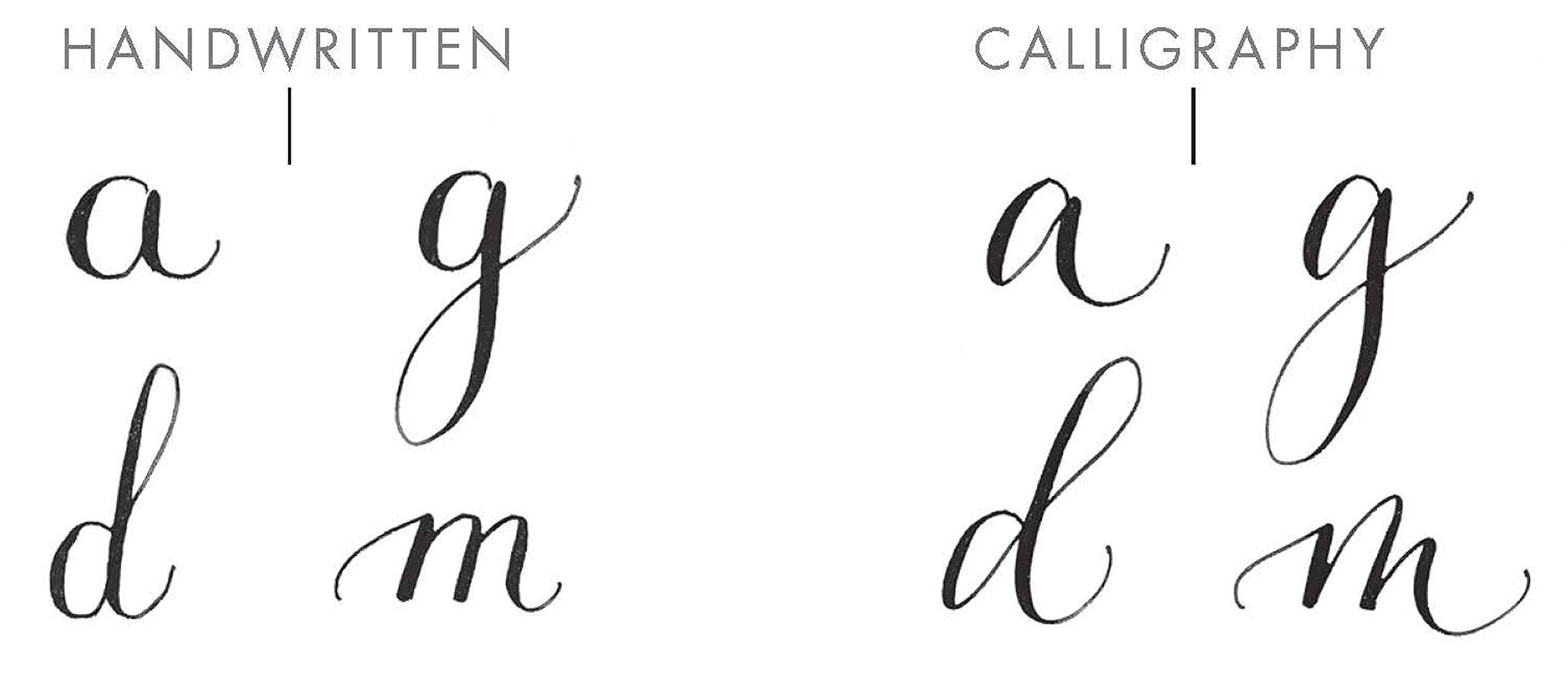 Set Of Hand Drawn Vector Calligraphy Letter Script Isolated Letters Written With Handwritten ...