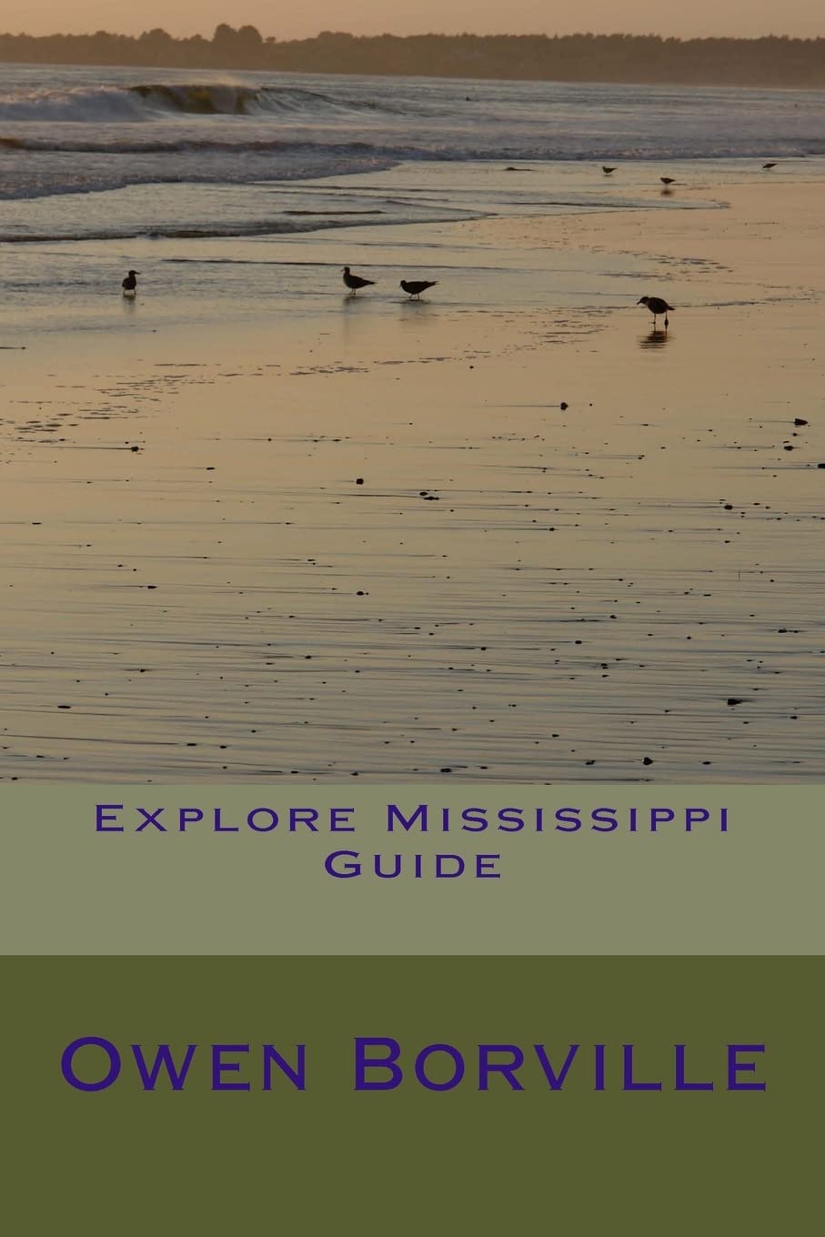 Explore Mississippi Guide: Amazon.co.uk: Borville, Owen: 9781502306111 ...
