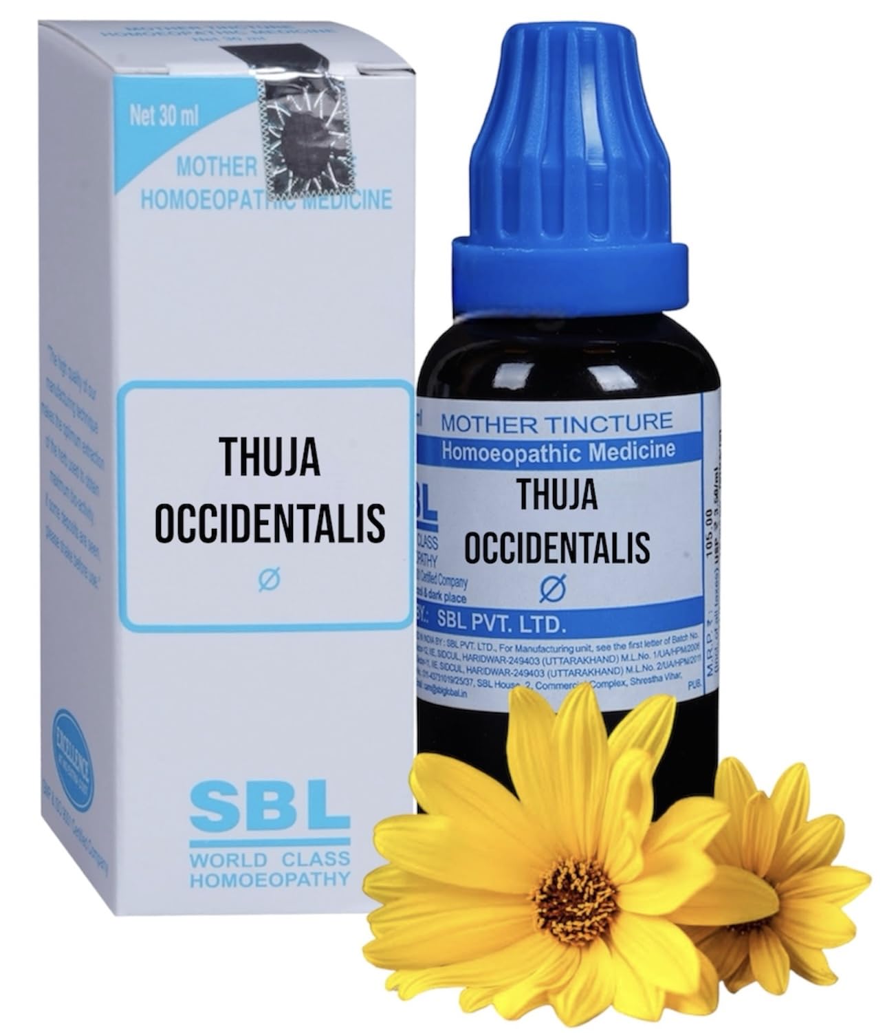 SBL Thuja Occidentalis Mother Tincture Q 30ml - Set of 1 Bottle ...