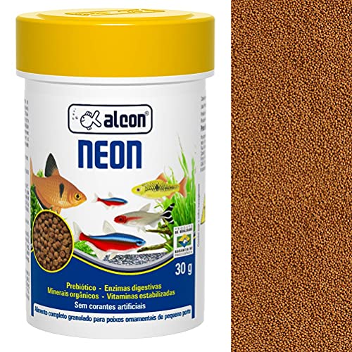 Tetra Aruanã (Gnathocharax steindachneri) - MyAquarium