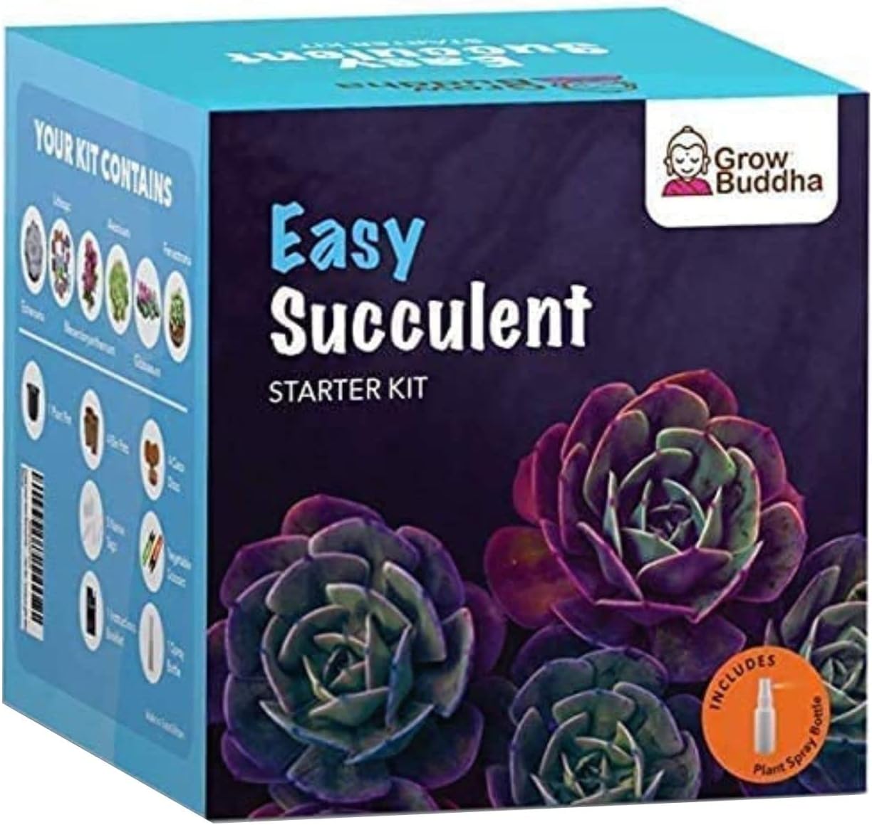 Grow Your Own Succulent kit – Easily Grow 6 Beautiful Varieties of ...