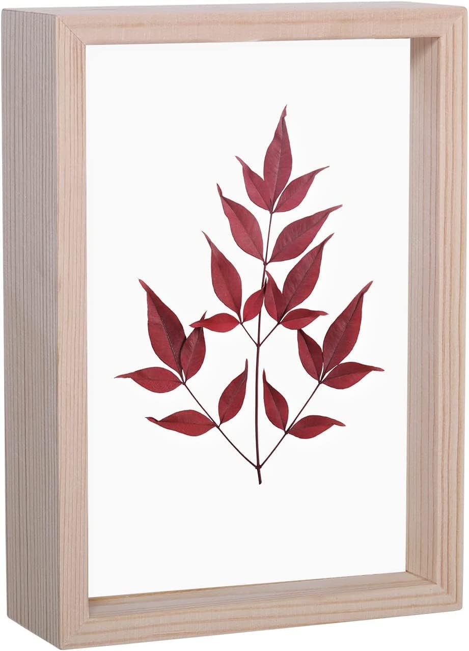 Amazon.com - JOSON Wooden picture frame, plant specimen frame, dry leaf ...