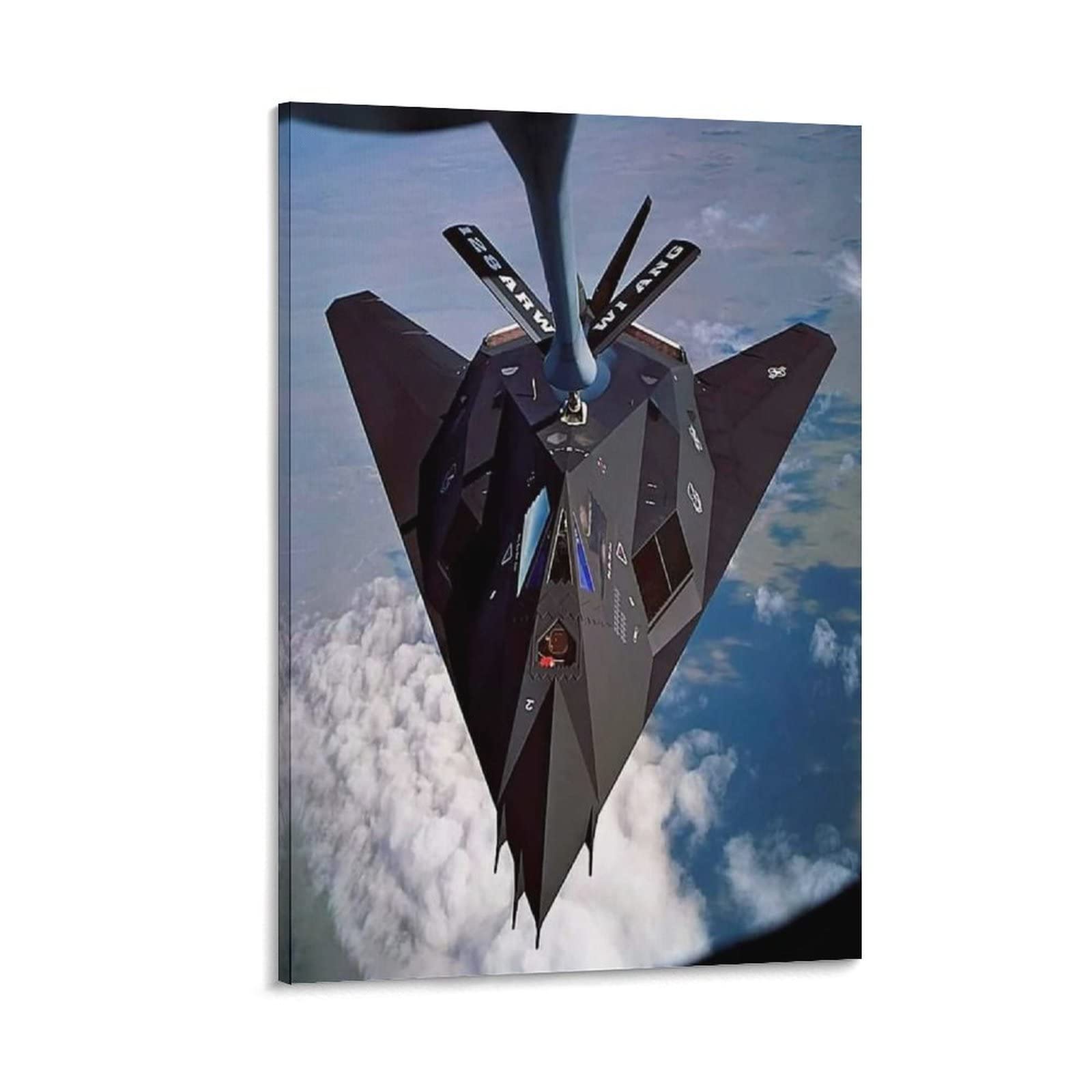 F17 Fighter
