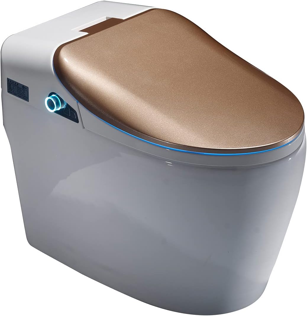 Modern Intelligent Smart Toilet, One-Piece Dual Philippines | Ubuy