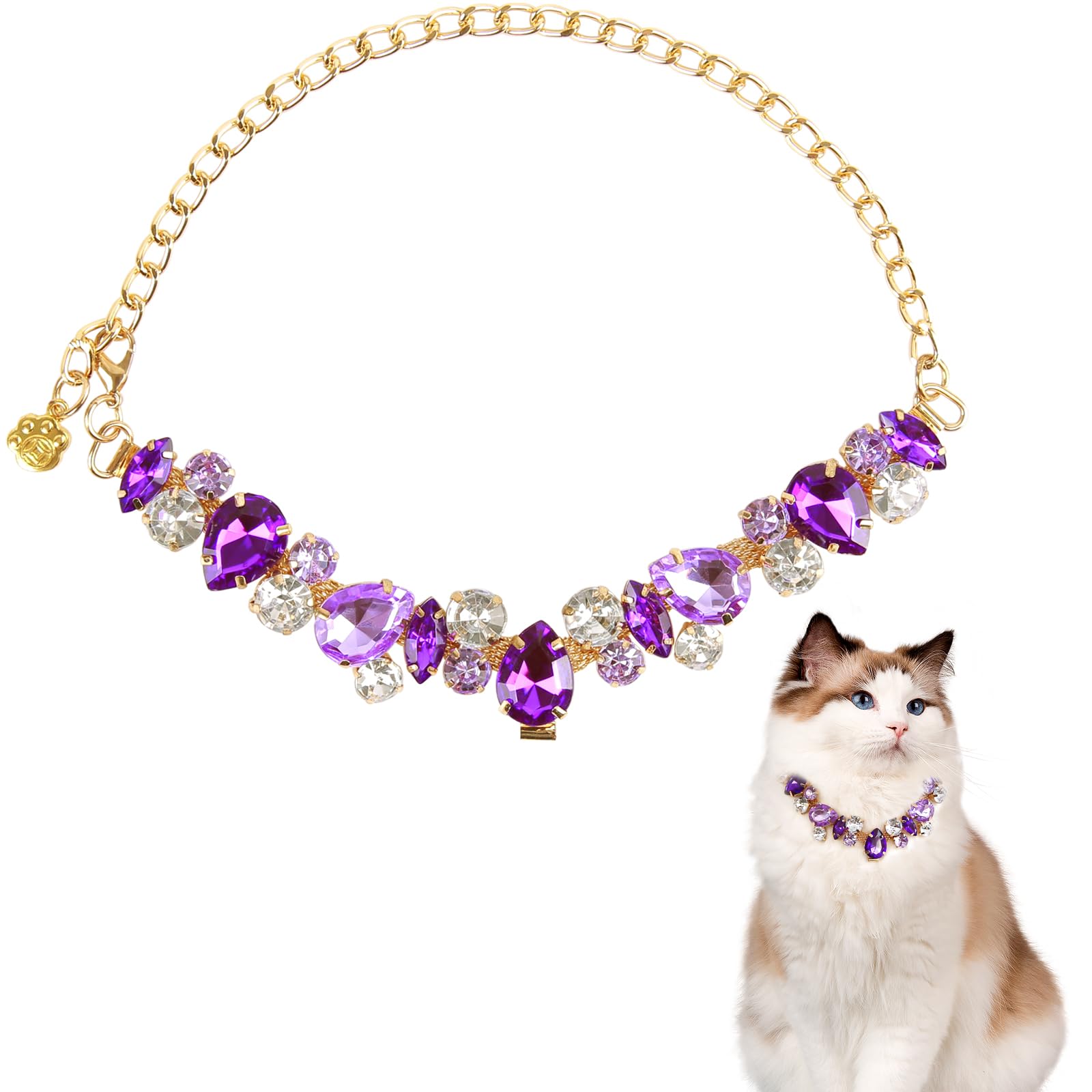 Amazon.com : HOWWFALY Dog Collar and Cat Collar Gold Chain Necklace Stainless Steel Adjustable ...