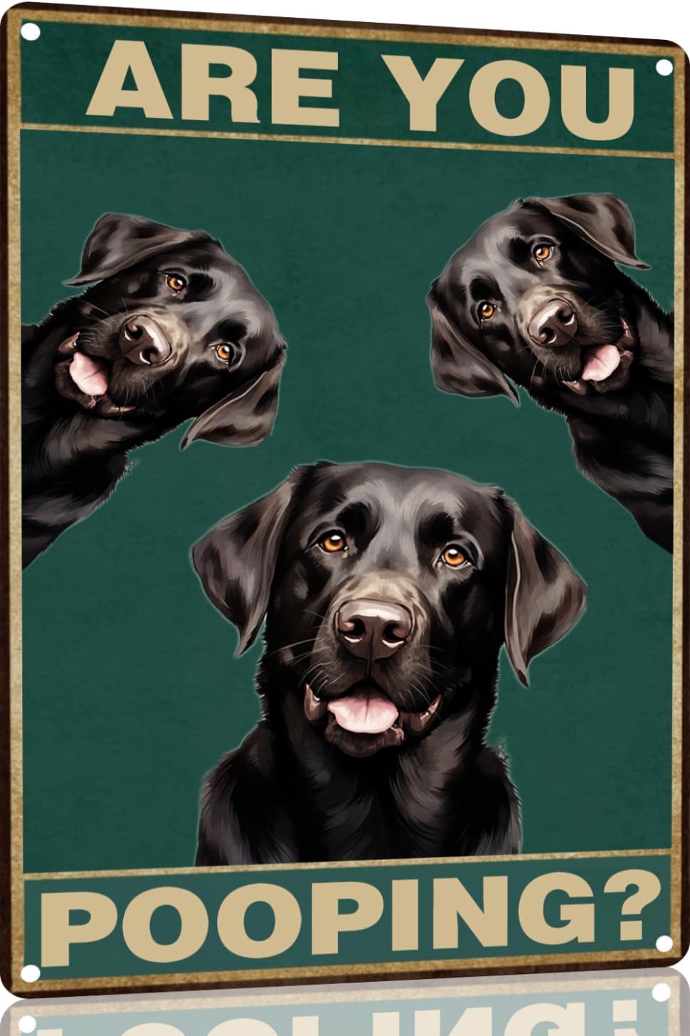 Amazon.com : TopPacific Labrador Retriever 12x8 inch Are You Pooping ...