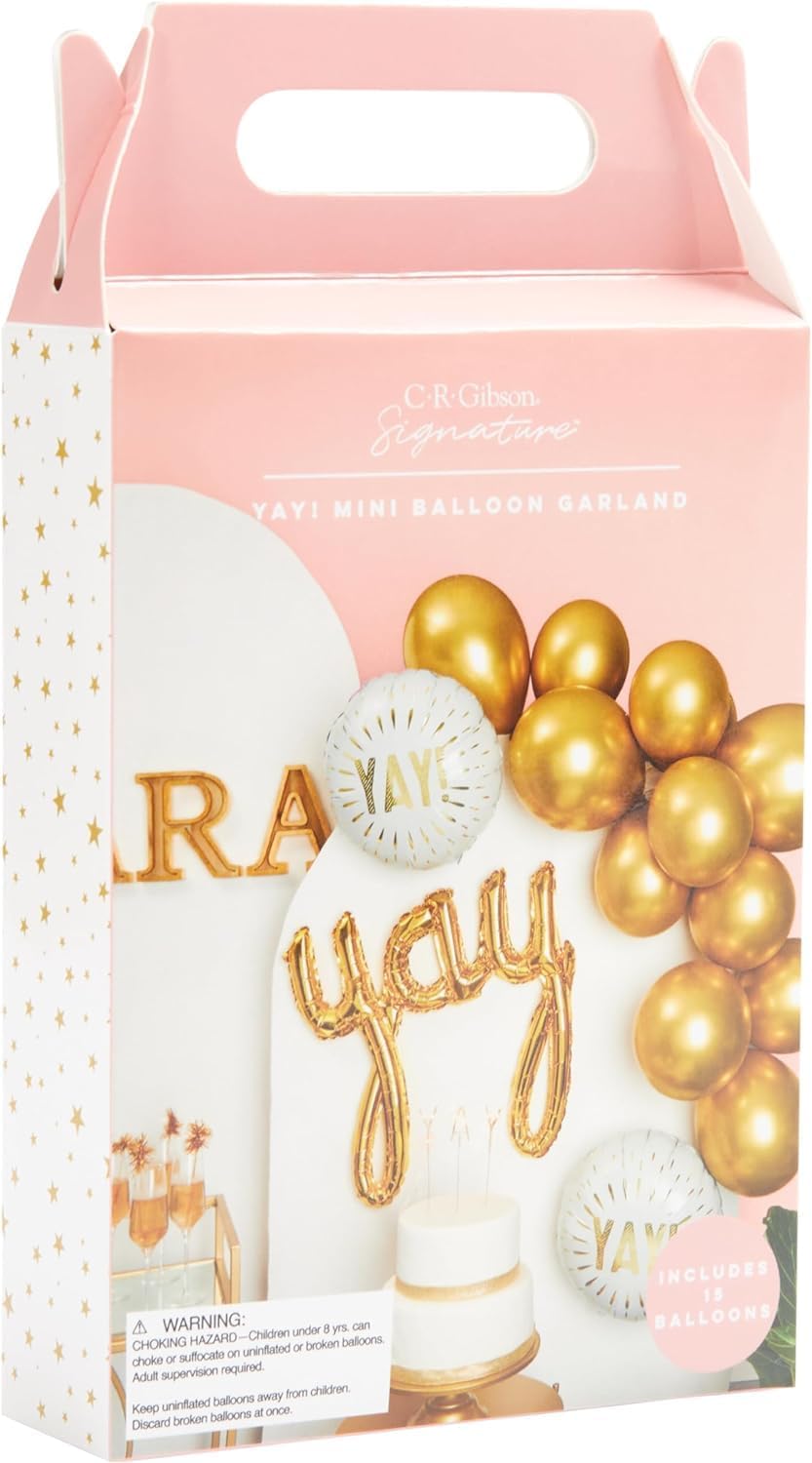 Amazon.com: C.R. Gibson Yay! Mini Balloon Kit (CBGS-25541) : Toys & Games