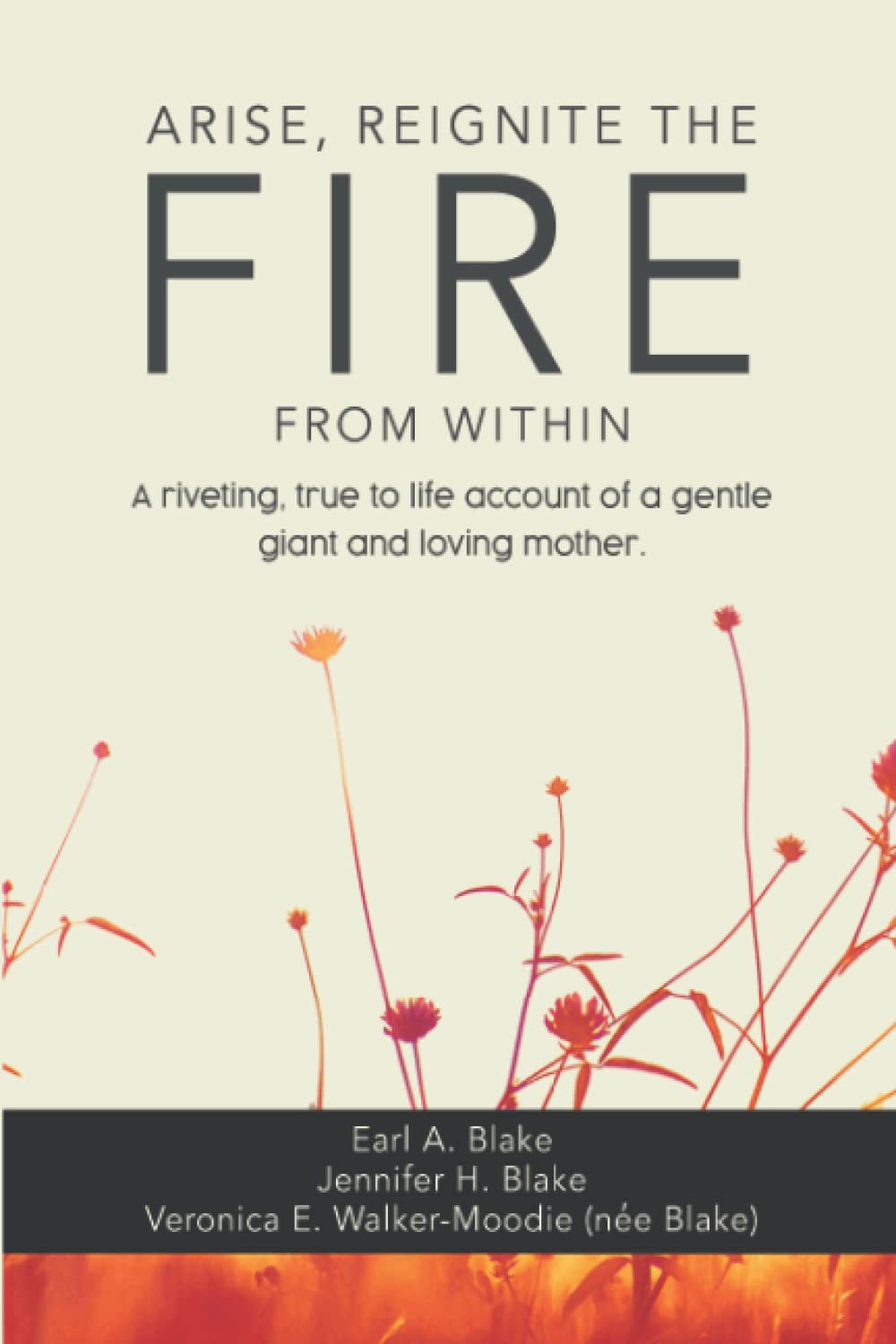 Arise, Reignite the FIRE From Within: “A riveting, true to life account ...