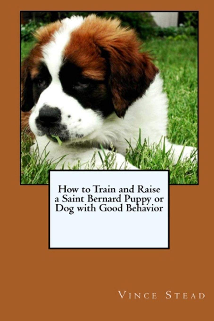 Are Saint Bernards Good Pets