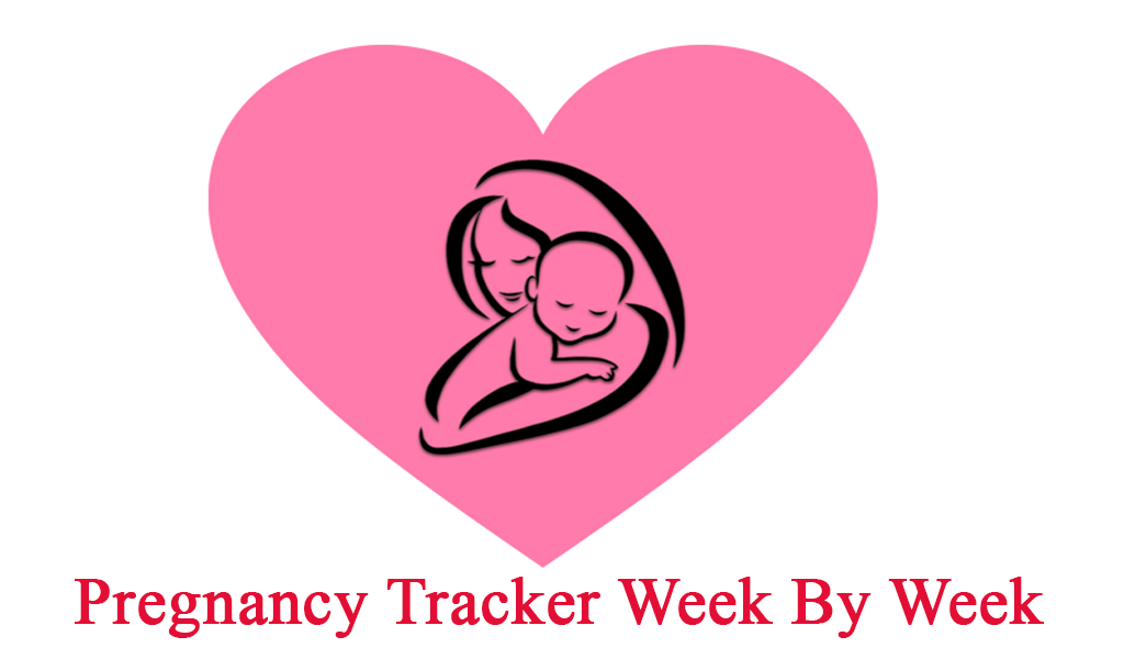 Pregnancy Tracker week by week-due date calculator - App on Amazon Appstore