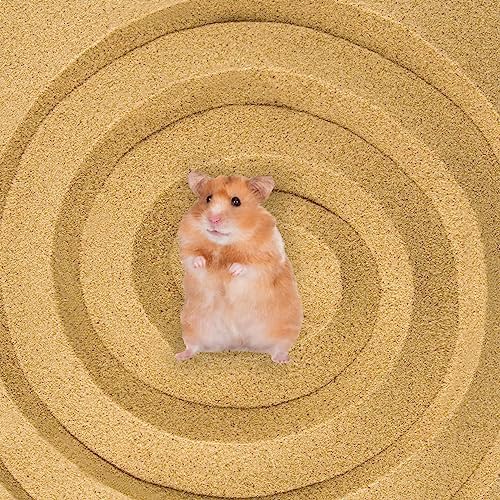Amazon.com : Sukh Hamster Desert Sand 47OZ - Fine Sand Bath for Reptile ...