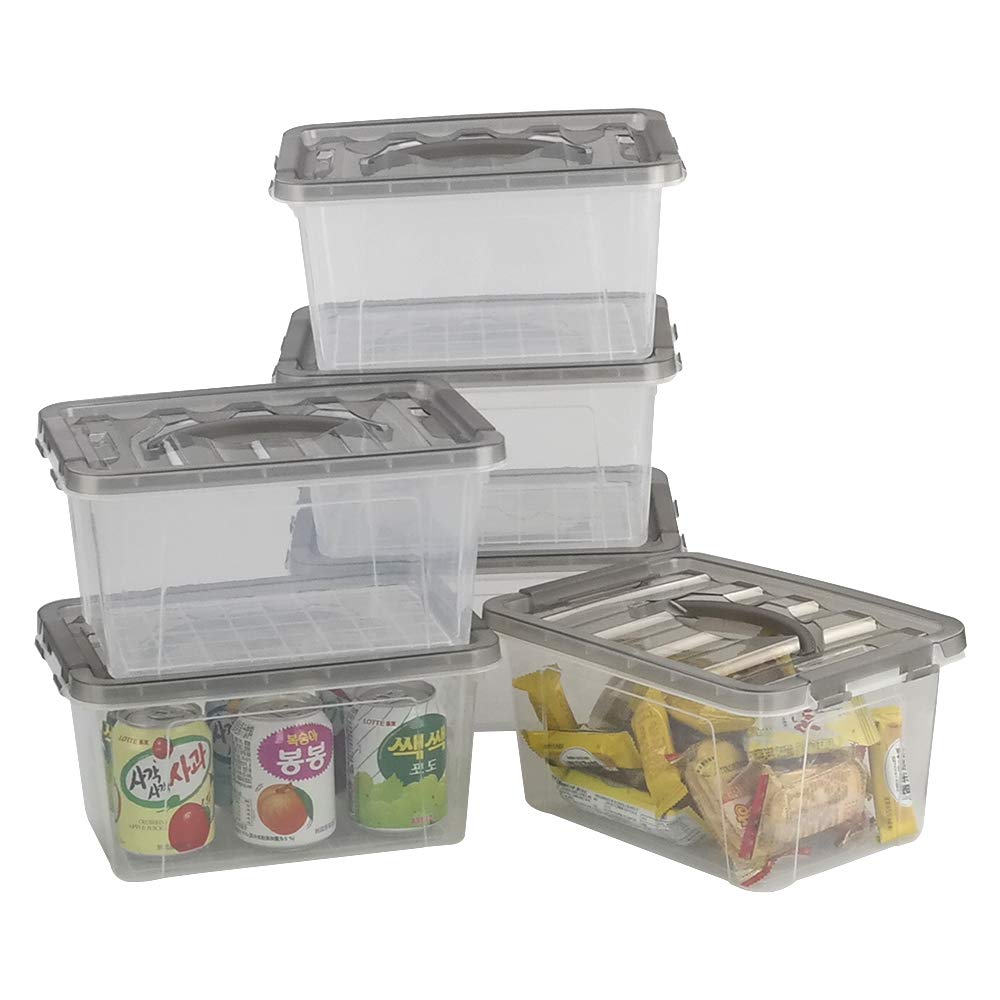 Buy Neadas 6 L Clear Plastic Storage Boxes, Small Storage Box with Lid ...
