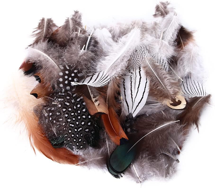 Amazon.com: 180 Pcs/Bag Natural Feathers,Pheasant Feather Assorted ...