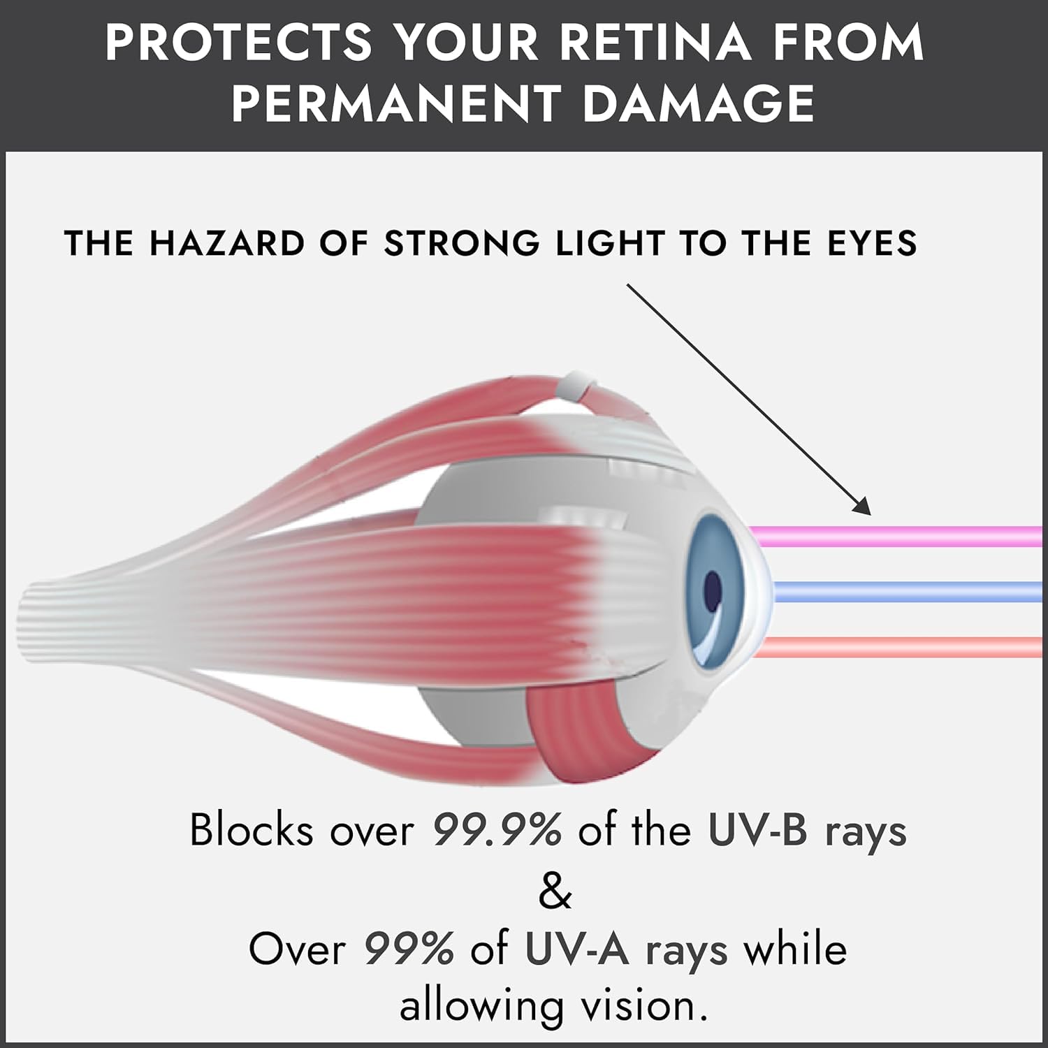 Snapklik.com : Super Sunnies Strapless Tanning Goggles - 12-Pack ...