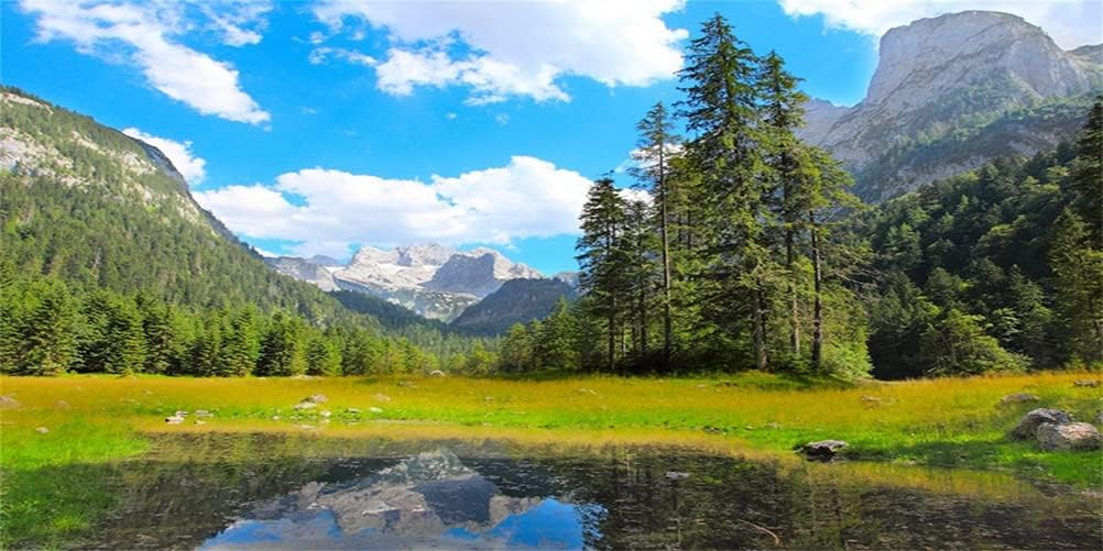 Amazon.com : AOFOTO 20x10ft Natural Scenic Backdrop Forest Tree ...