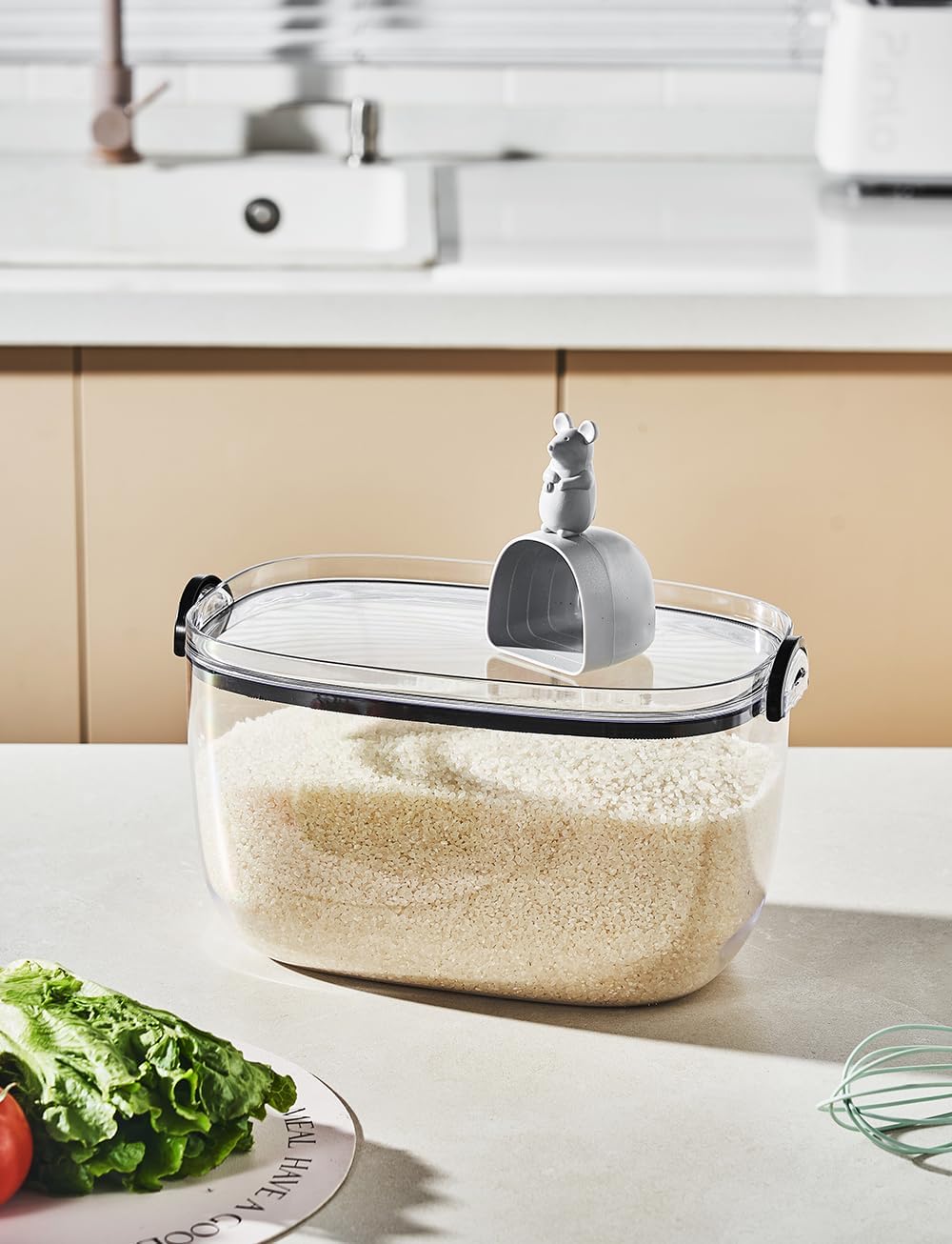 Eden & Willow Large Capacity Kitchen Storage Box | Modern Rice ...