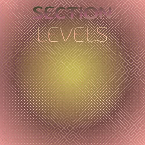 Amazon.com: Section Levels : VARIOUS ARTISTS: Digital Music