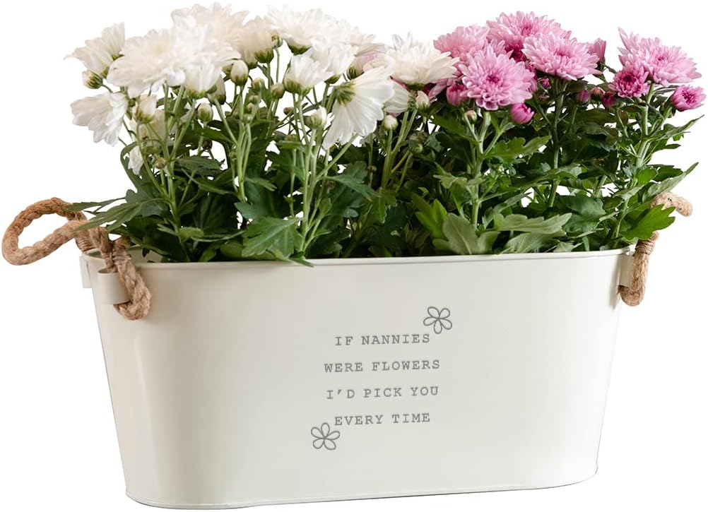 Dust and Things Engraved Nannies Garden Long Plant Pot - Indoor/Outdoor ...